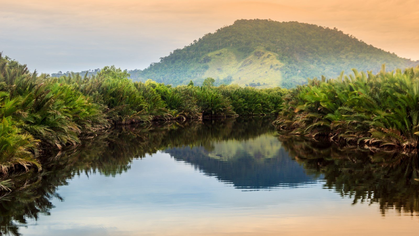 Explore the Rainforest of Borneo | Authentic Indonesia | Local Travel ...