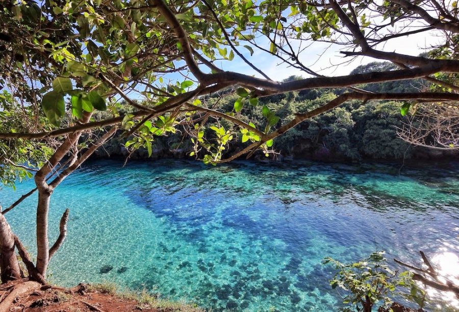 The Ultimate Guide to Sumba | Authentic-Indonesia Blog