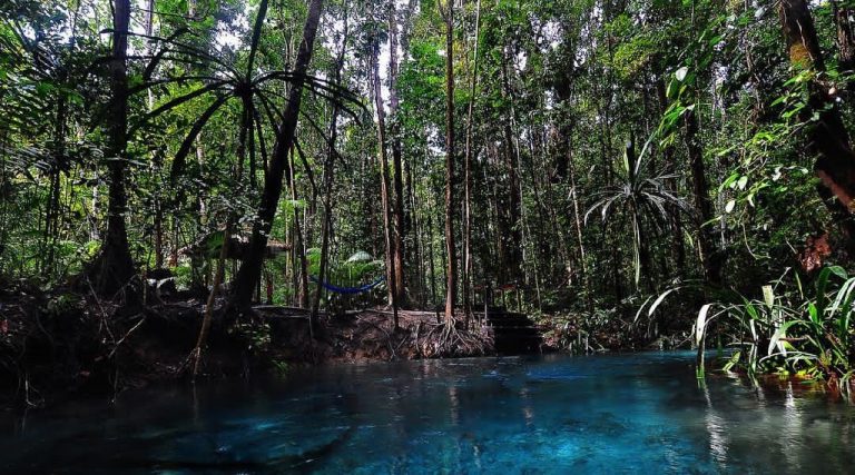 The Amazing Blue River Kali Biru Raja Ampat | Authentic Indonesia Blog