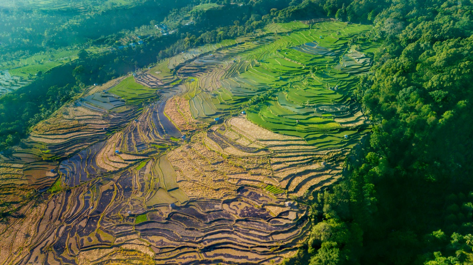 Lombok | Explore Tetebatu Area | Authentic-Indonesia