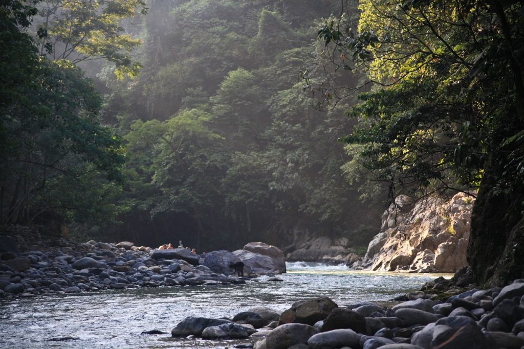 What To Do in Mount Leuser National Park | Authentic Indonesia Blog