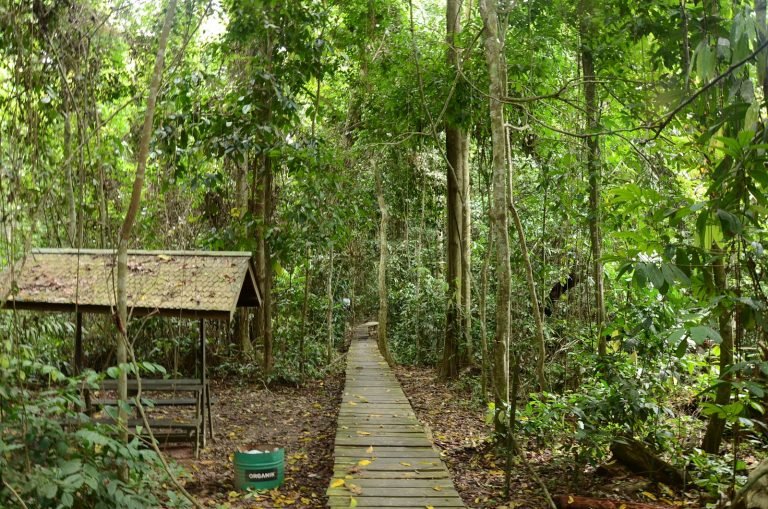 9 Best Places to Visit When Travel to Kalimantan | Authentic Indonesia Blog