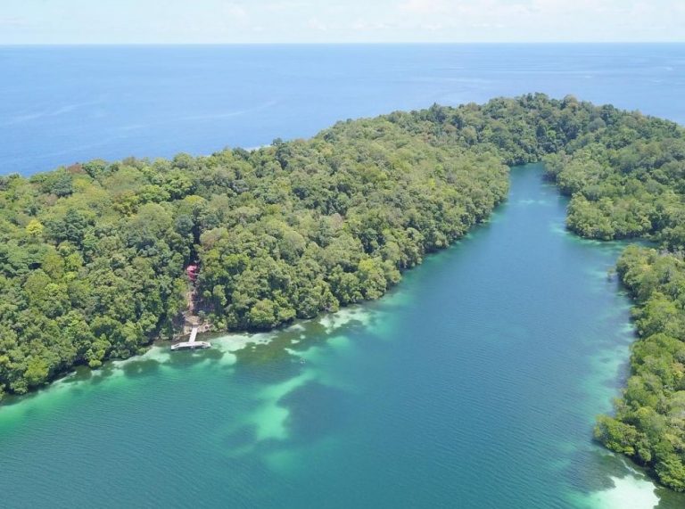 7 Interesting Facts About Borneo | Authentic Indonesia Blog