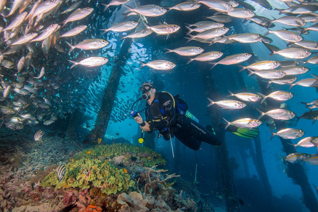 9 Beautiful Underwater Destinations in Indonesia | Authentic Indonesia Blog