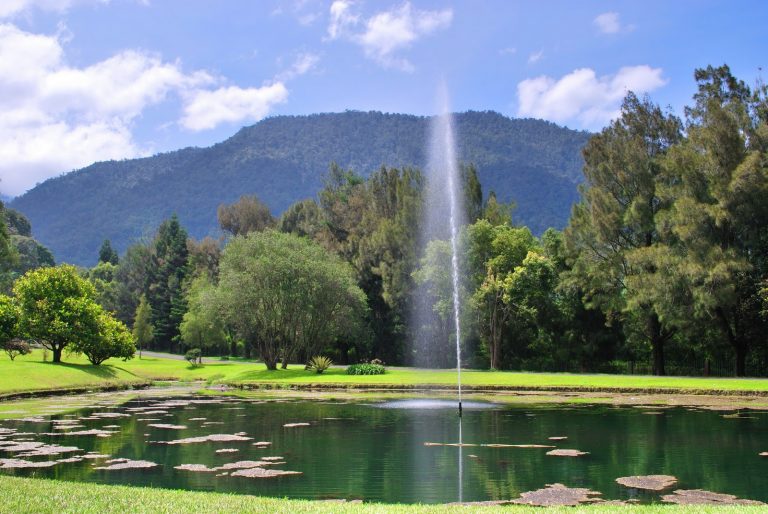 5 Biggest Botanical Gardens in Indonesia | Authentic Indonesia Blog