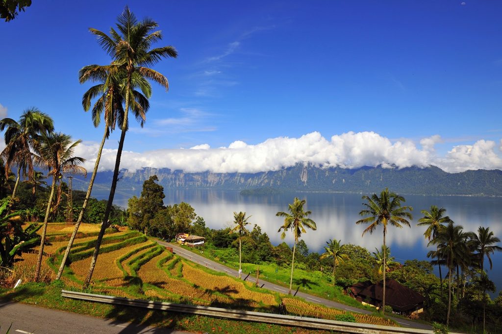 8 Best Indonesia Rice Terraces | Authentic Indonesia Blog