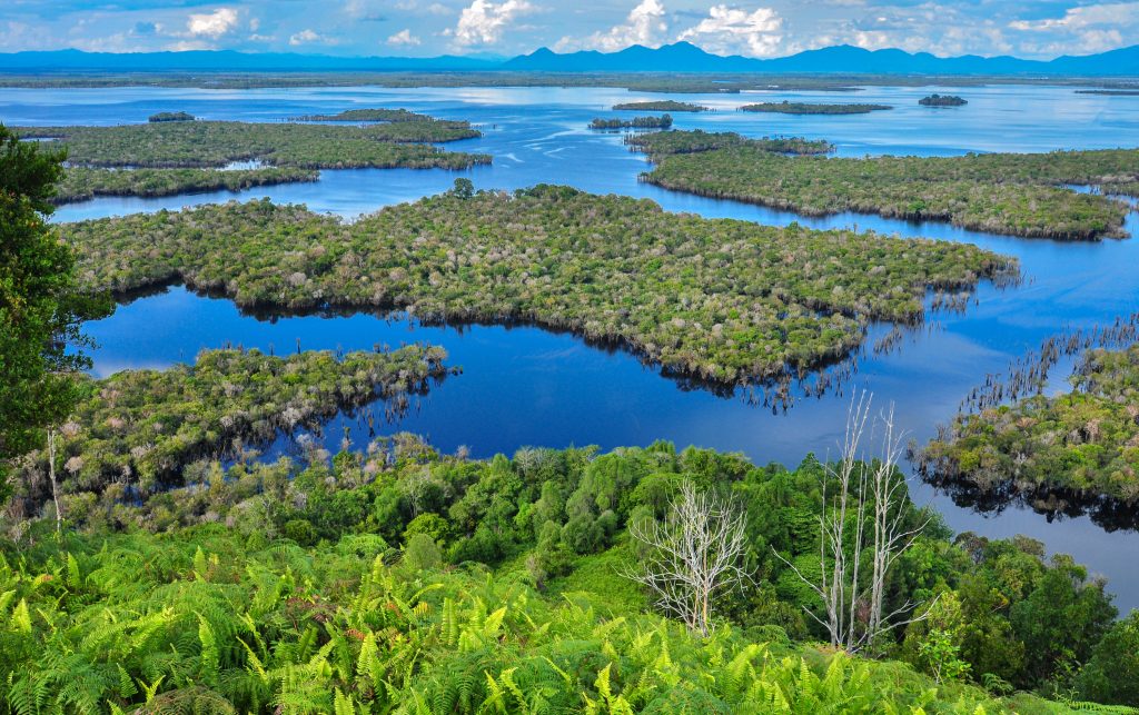 Beautiful Seasonal Lake at Sentarum Lake National Park | Authentic ...