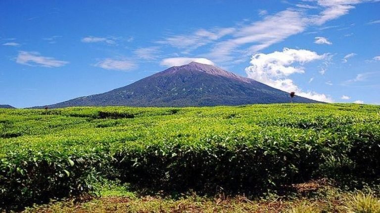 The Kerinci Seblat National Park | Authentic Indonesia Blog