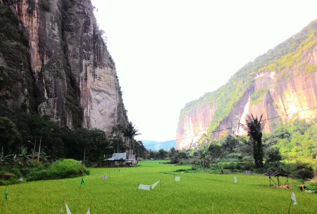 Explore The Harau Valley in West Sumatra | Authentic Indonesia Blog