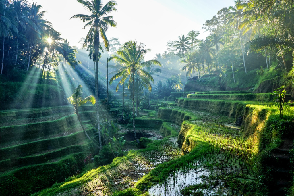 16 Finest Places to Visit in Bali | Authentic Indonesia