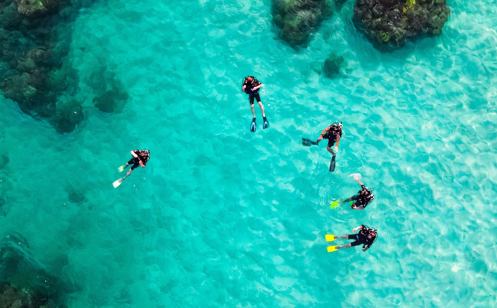 Explore Snorkeling & Diving Spots in Flores | Authentic Indonesia